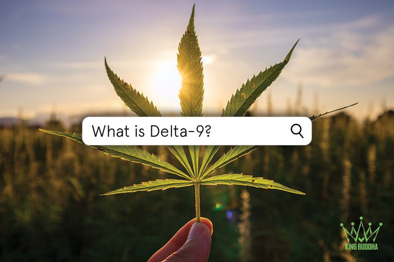 What Is Delta 9 THC And How Does It Stack Up? | King Buddha